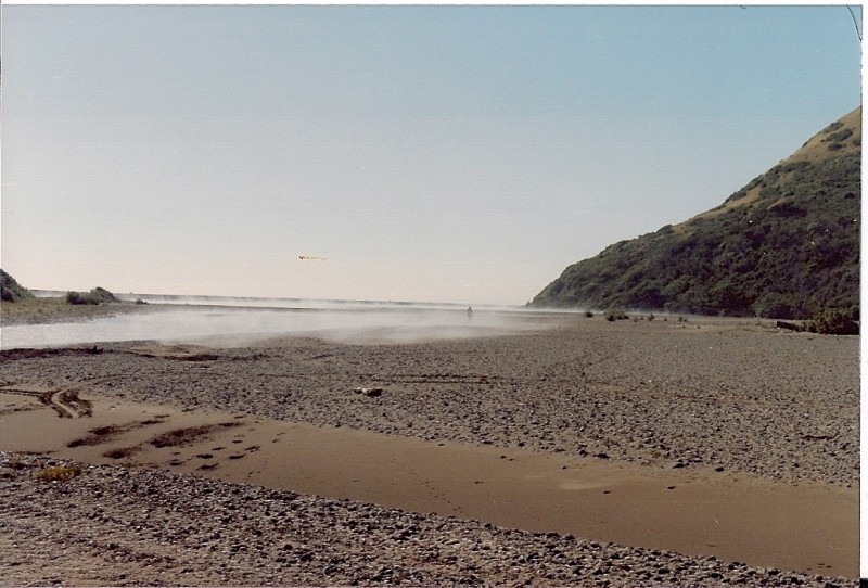 Estuary - Mattole Salmon Group