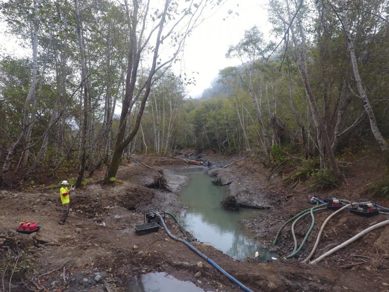 Estuary - Mattole Salmon Group