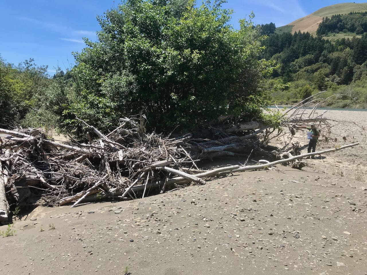 Surveys Archives - Mattole Salmon Group