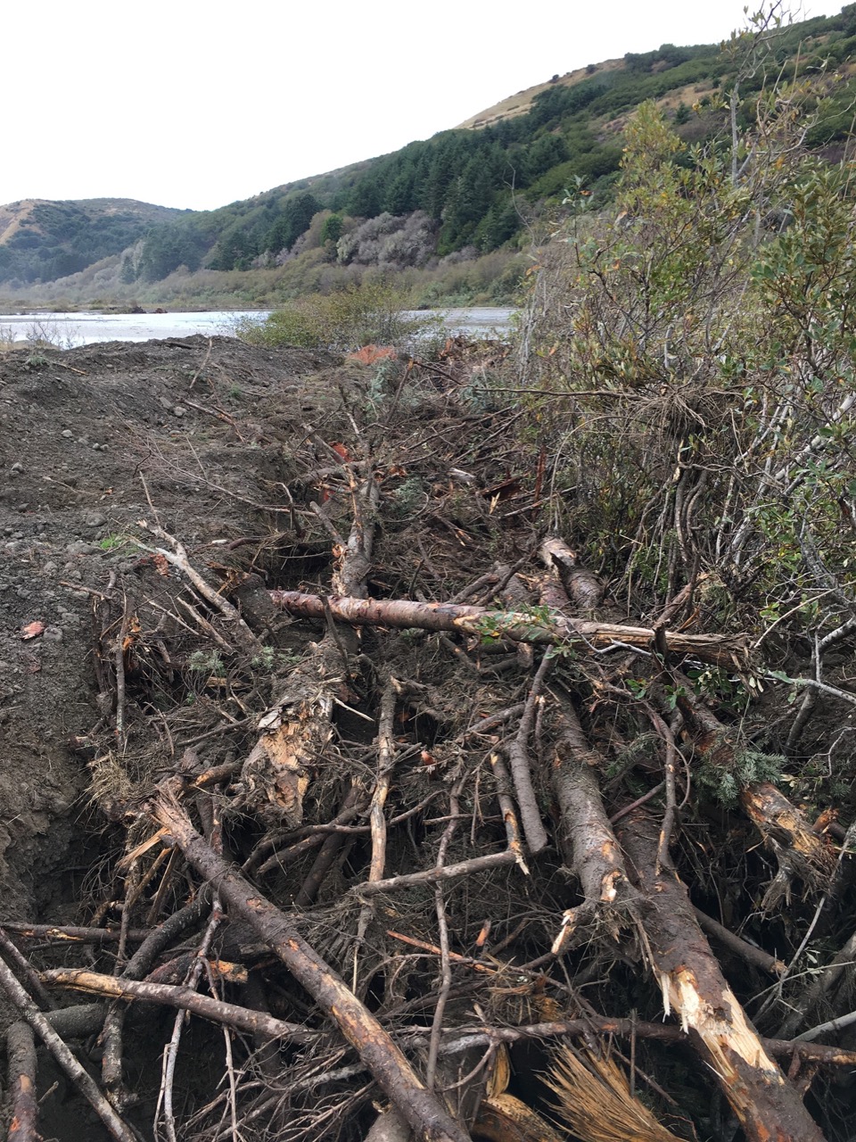 Estuary - Mattole Salmon Group