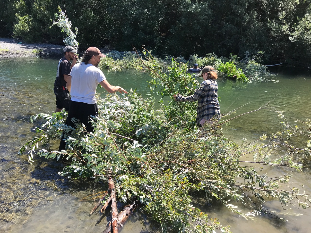 Help build Salmon Floating Structures Saturday - Mattole Salmon Group