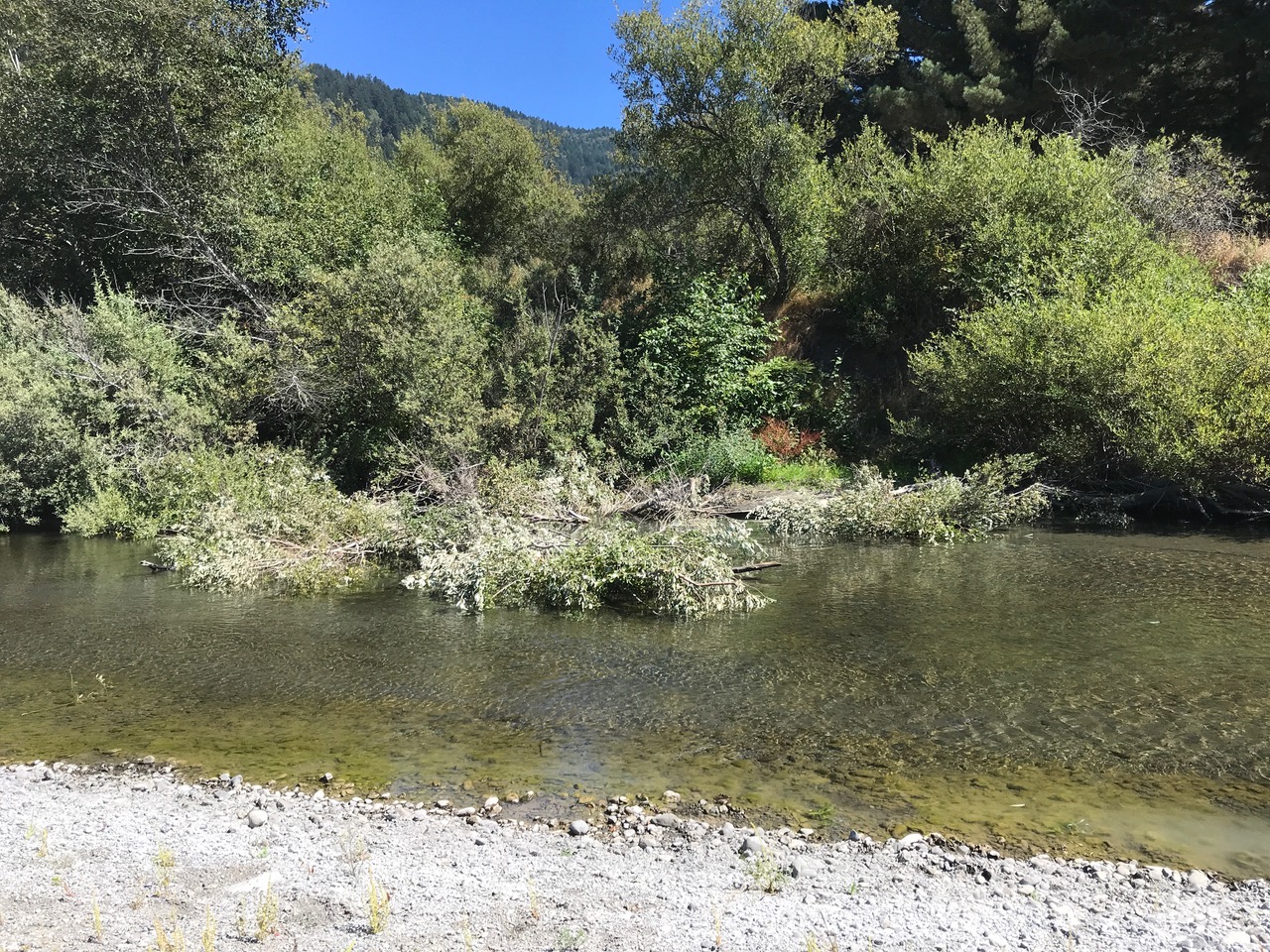 Help build Salmon Floating Structures Saturday - Mattole Salmon Group