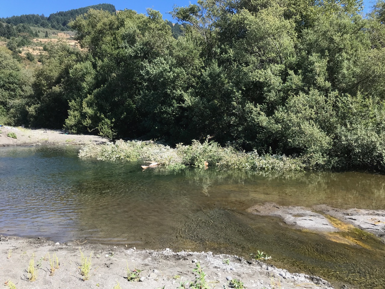 Help build Salmon Floating Structures Saturday - Mattole Salmon Group