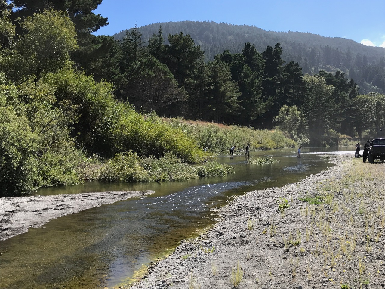 Help build Salmon Floating Structures Saturday - Mattole Salmon Group